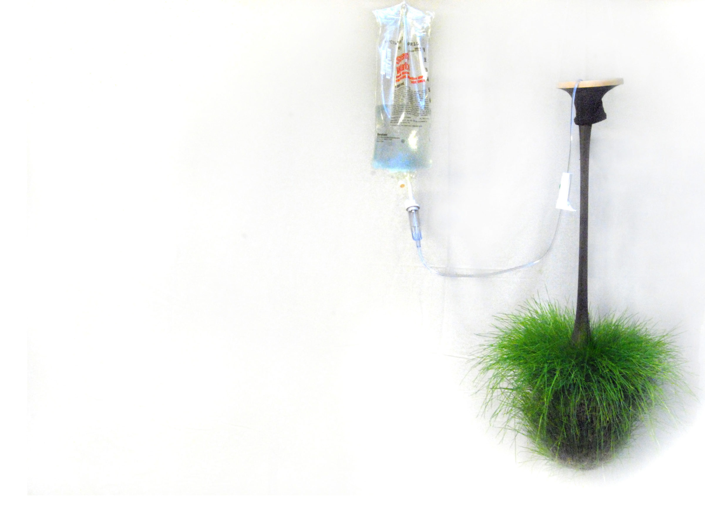 Lawndale ⁄ Ned Dodington