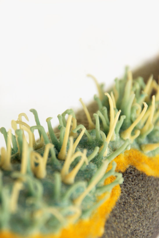 Lawndale ⁄ Jasmyne Graybill