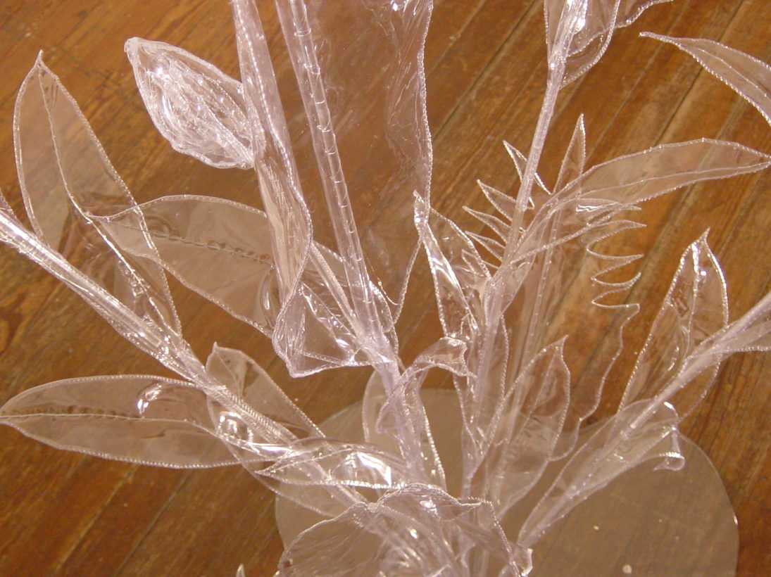 Lawndale ⁄ Leigh Anne Lester