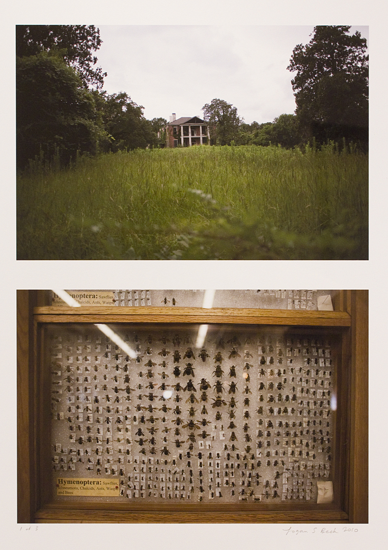 Lawndale ⁄ Logan Sebastian Beck