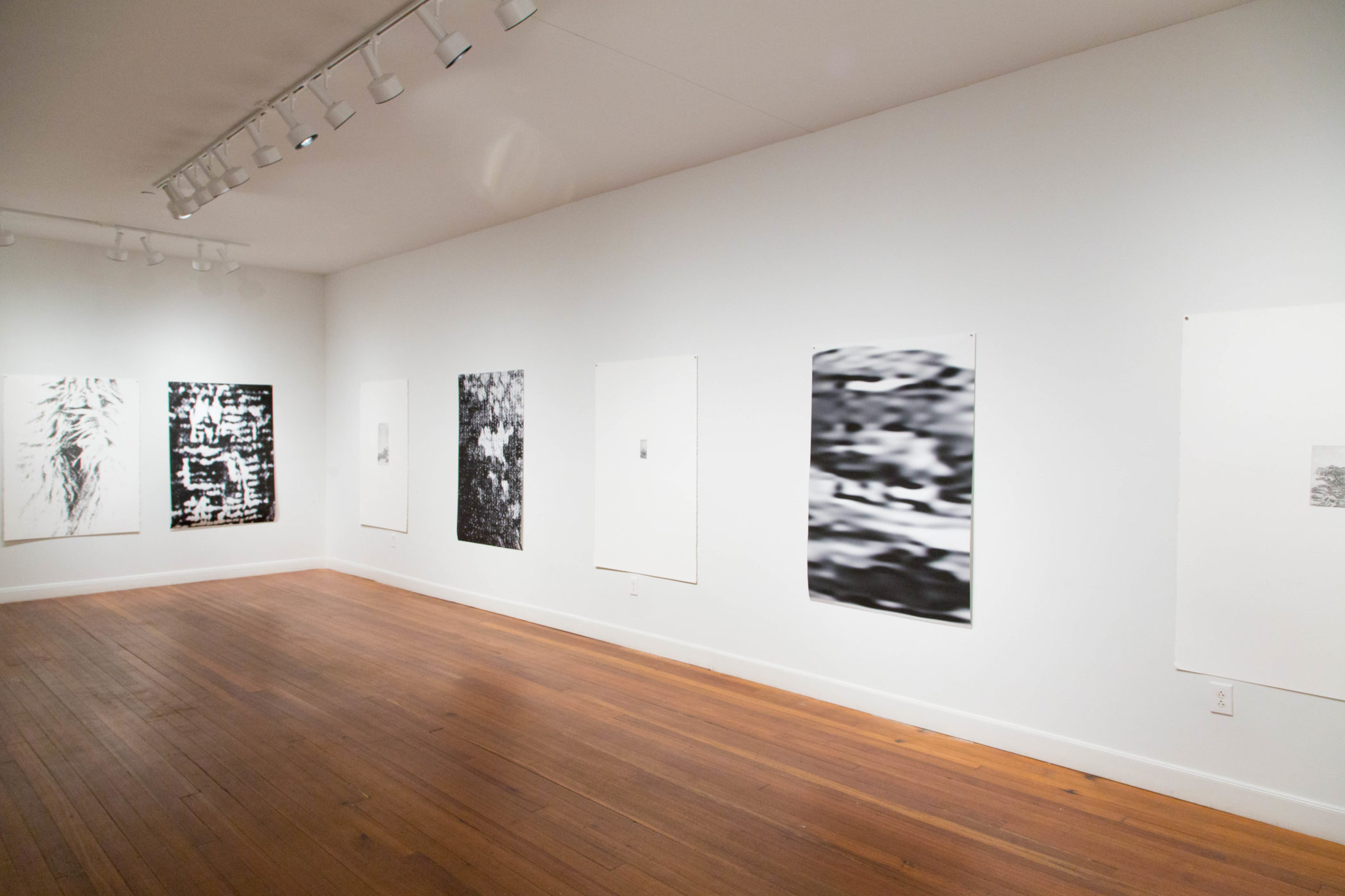 Lawndale ⁄ Georgia Carter