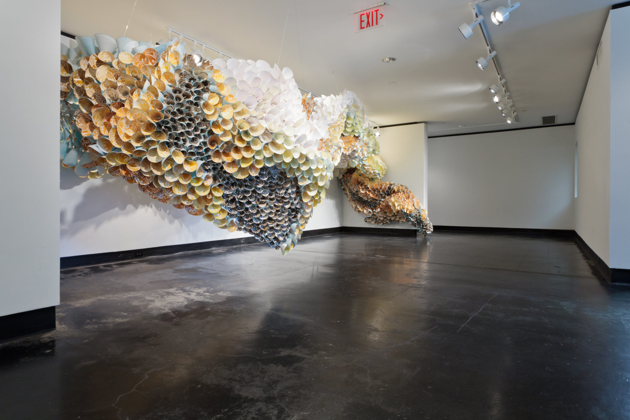 Lawndale ⁄ Abhidnya Ghuge