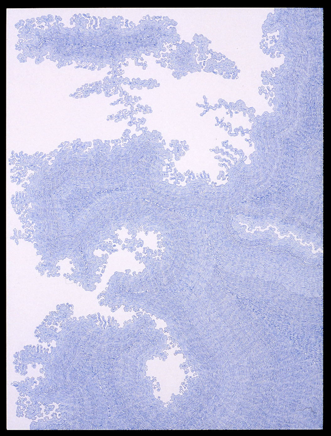 Lawndale ⁄ Andrew Groocock, Monica Vidal, Marco Villegas, and Allison ...